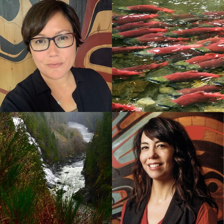 Freshwater Stream Podcast Interview: Tara Marsden - Watersheds BC